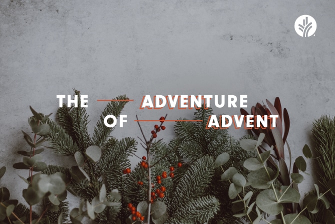 The Adventure of Advent - Discover the Word